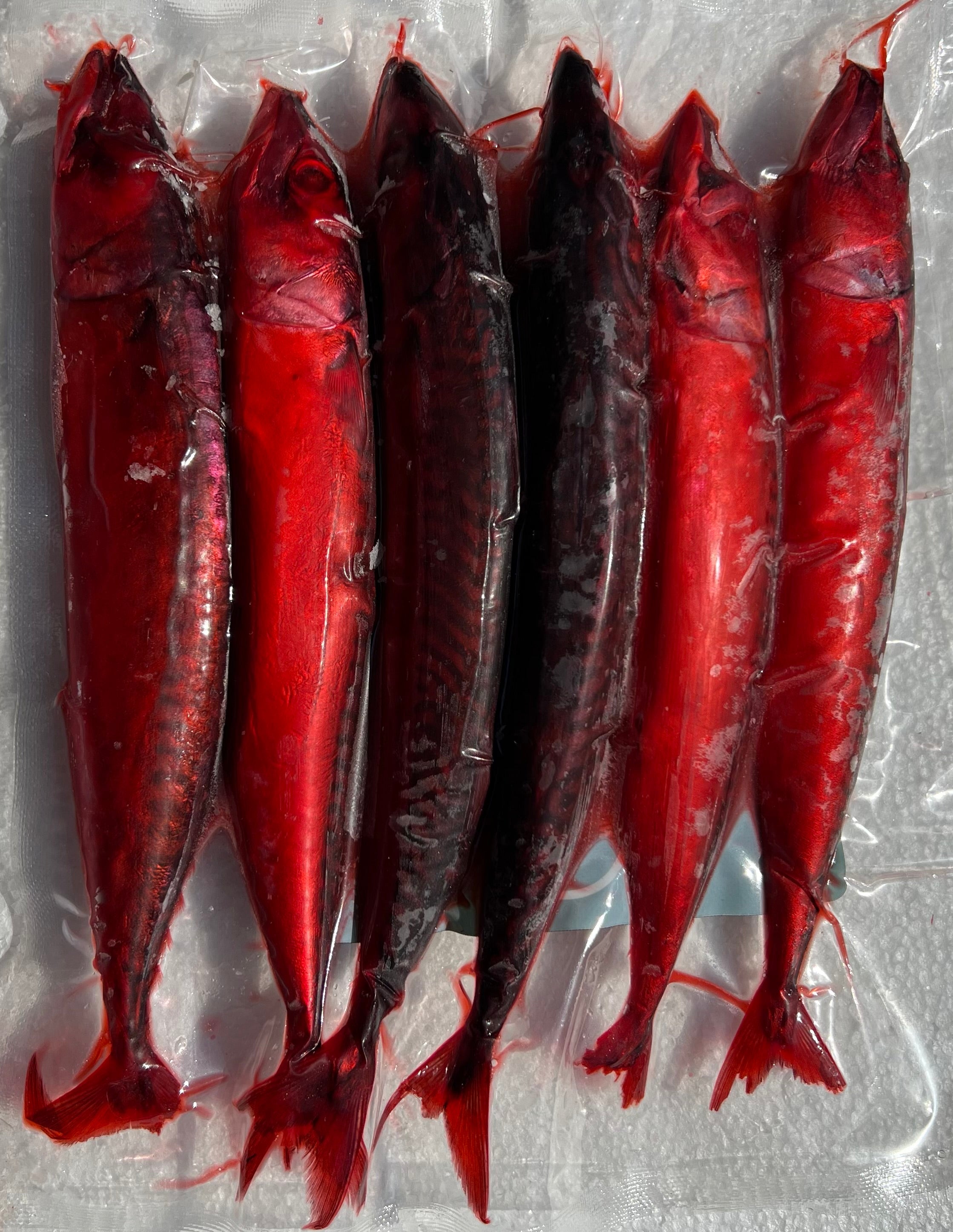 Mackerel – Lucebaits Retail Store