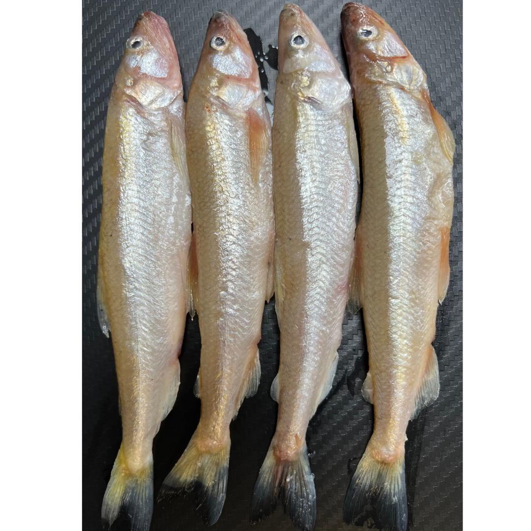 Lucebaits Retail Store