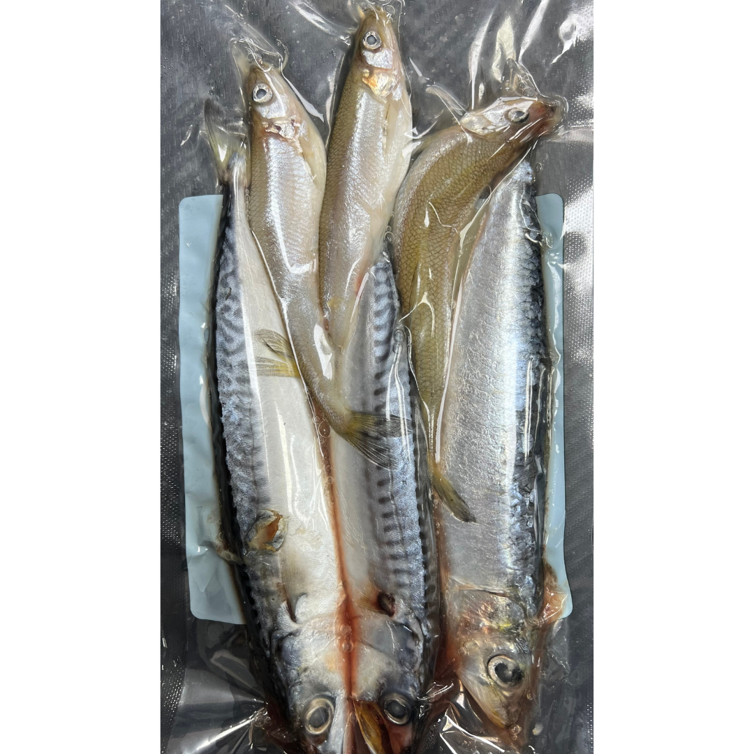 5x Fresh Mixed Fish (PPK5) – Lucebaits Retail Store